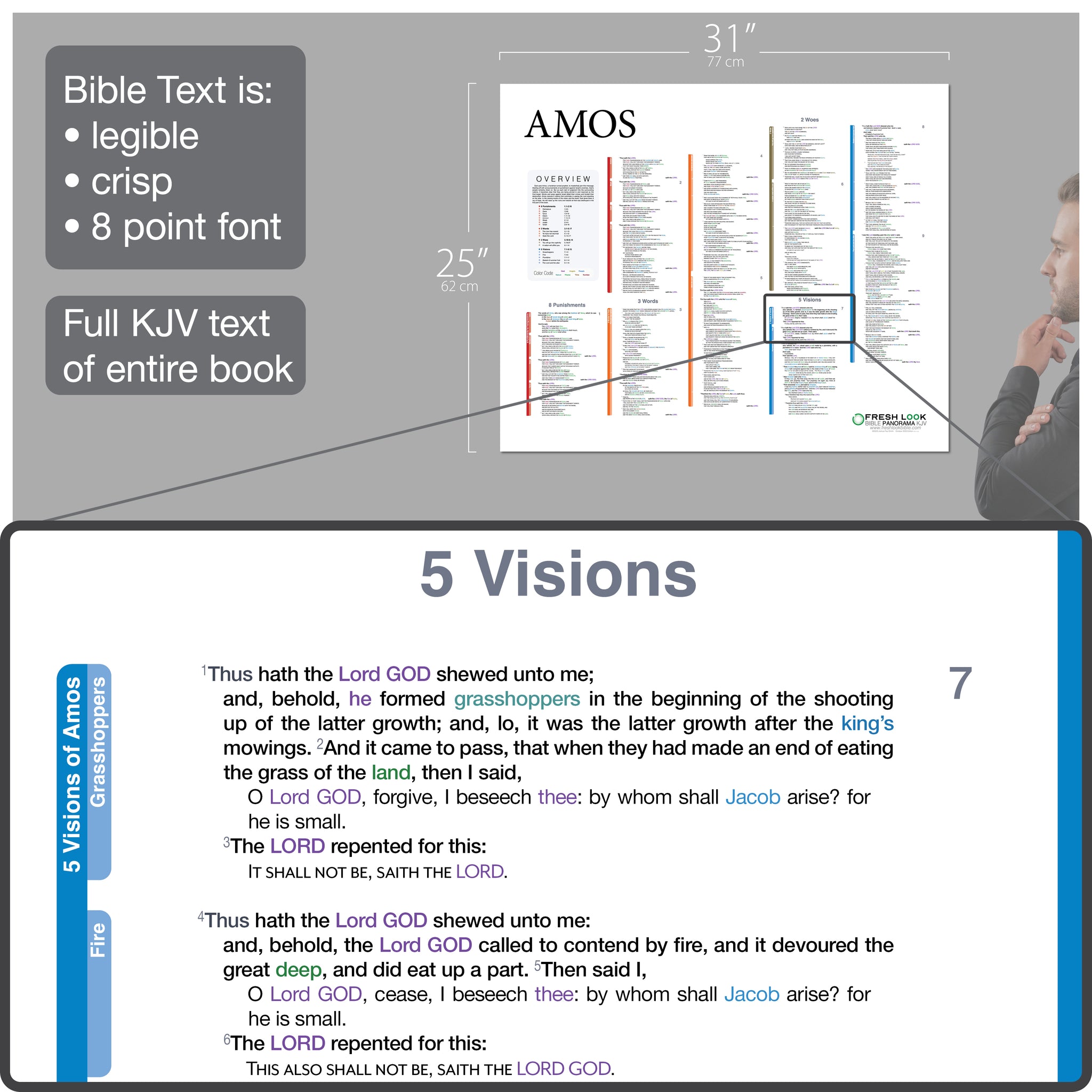Amos Panorama Laminated – Fresh Look Bible