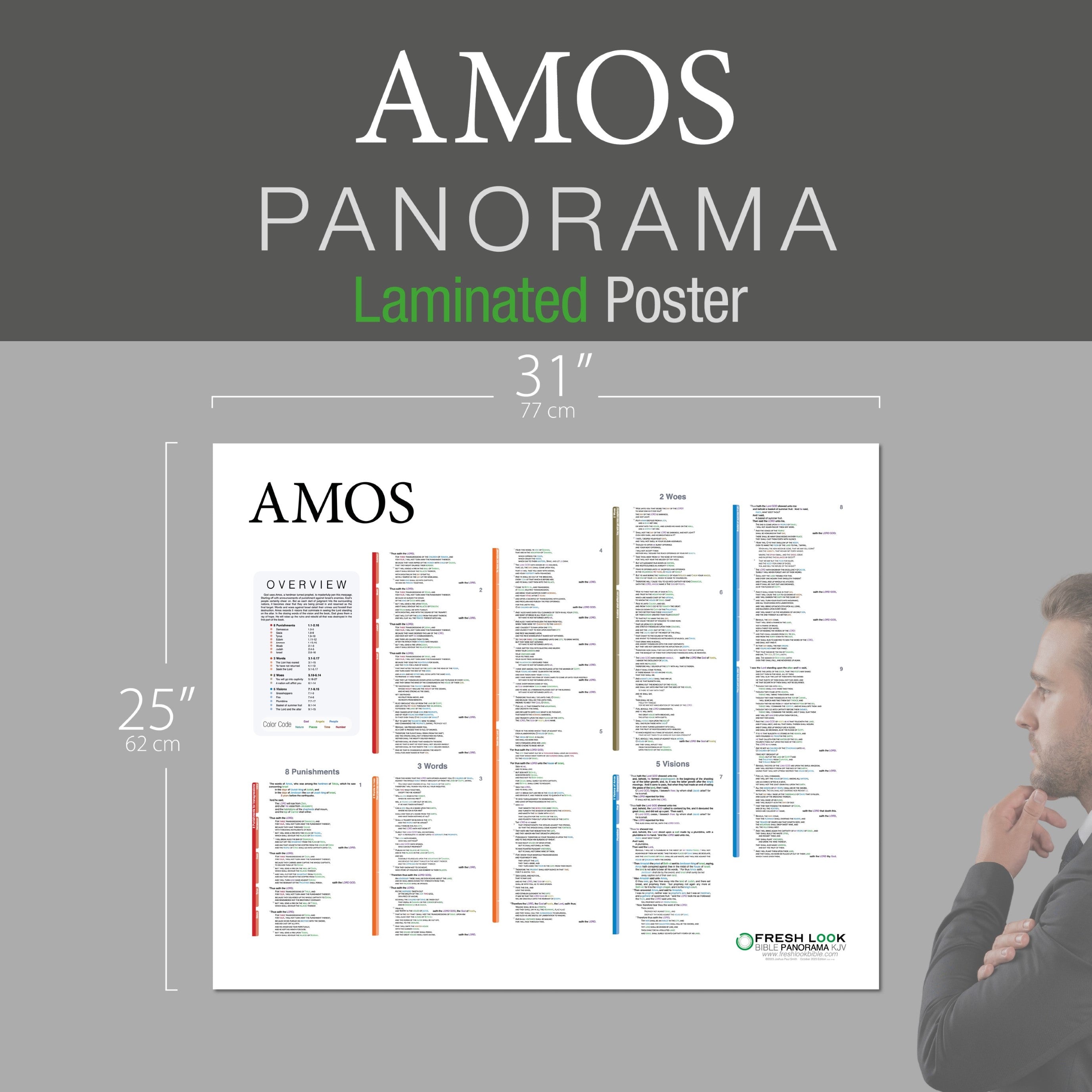 Amos Panorama Laminated – Fresh Look Bible
