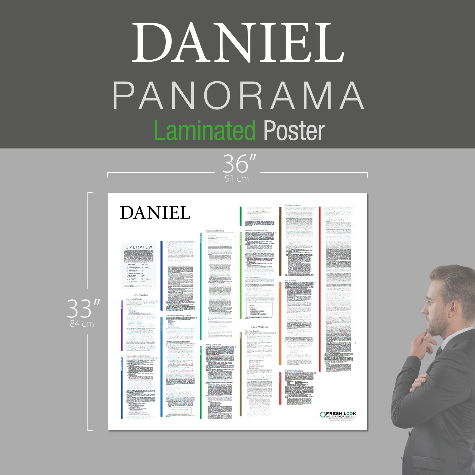 Daniel Panorama Laminated – Fresh Look Bible