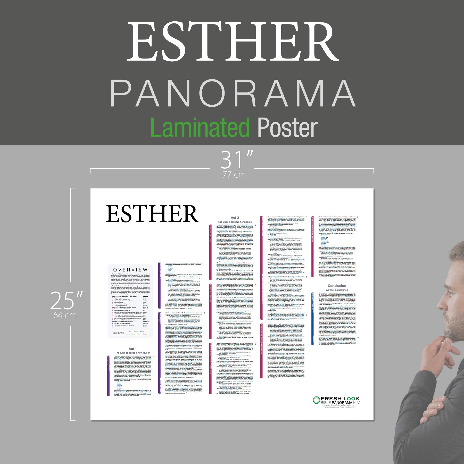 Esther Panorama Laminated – Fresh Look Bible