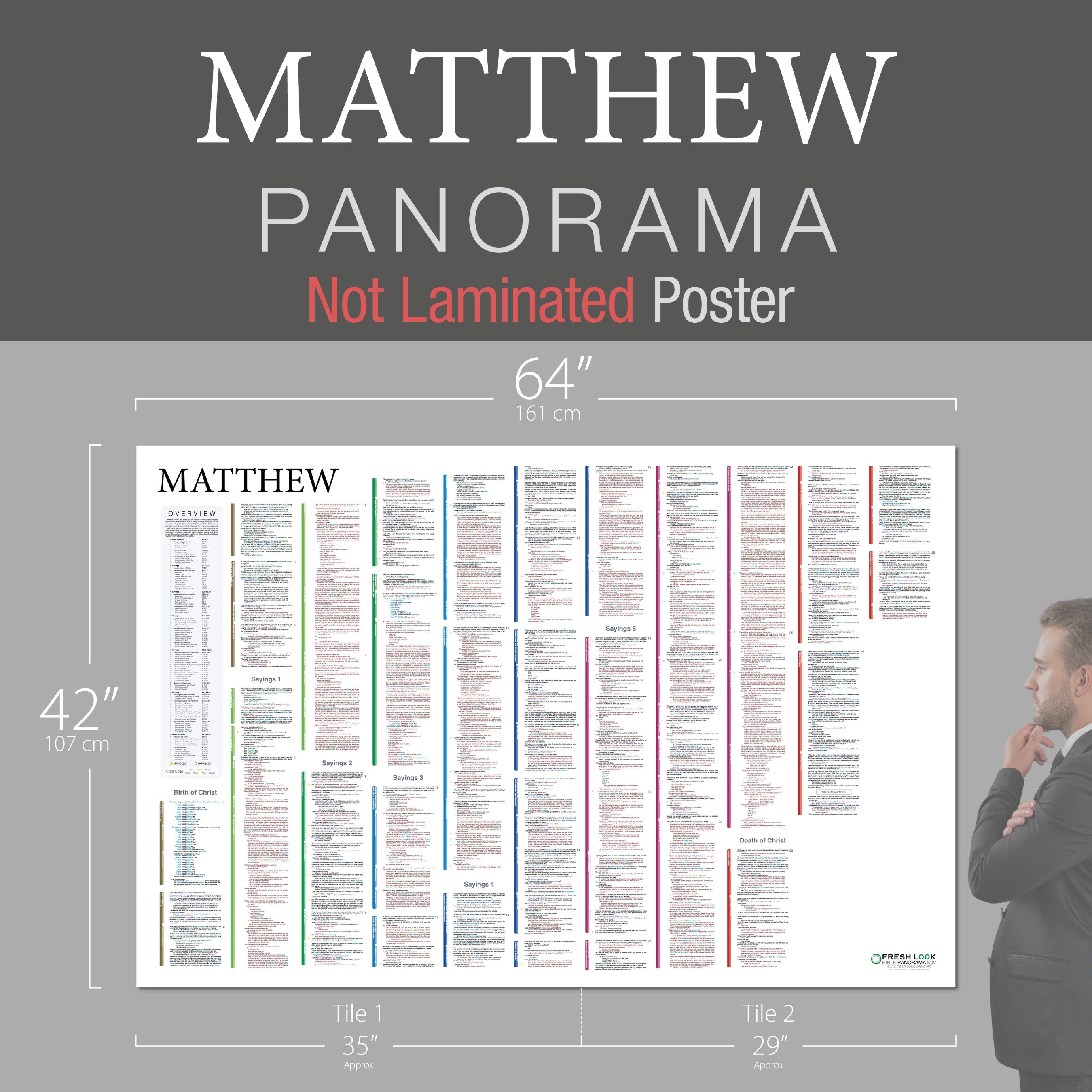 Matthew Panorama Not Laminated – Fresh Look Bible