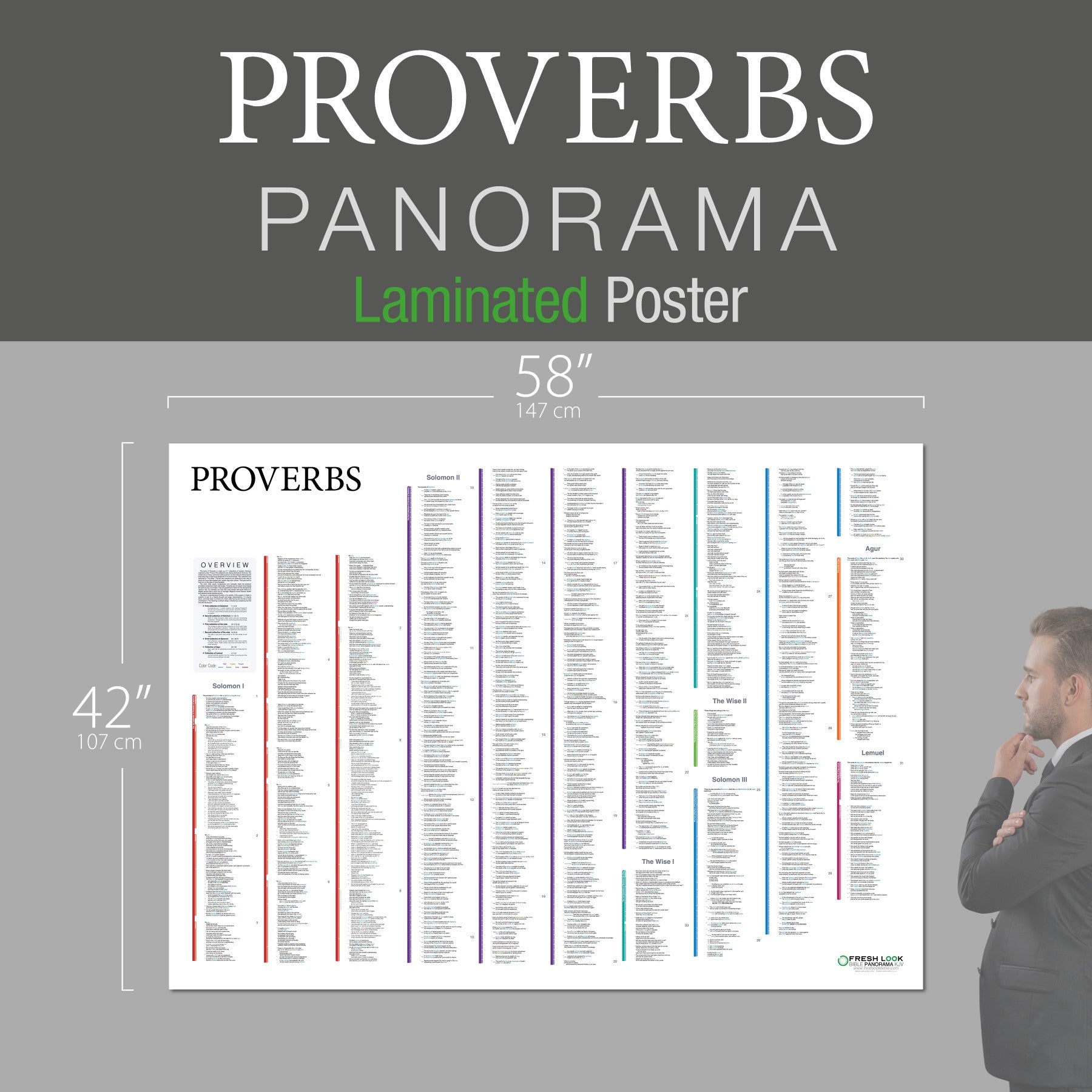 Proverbs Panorama Laminated – Fresh Look Bible